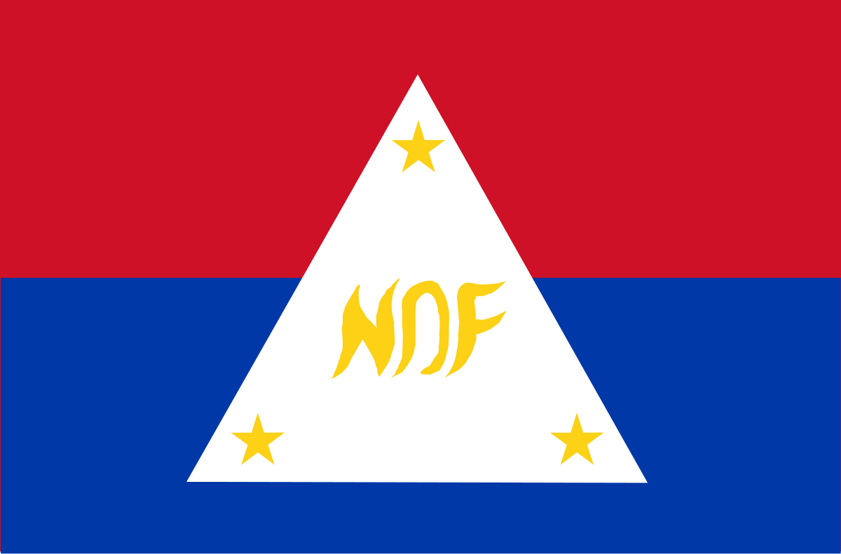 NDF-Negros denounces Sinas appointment as PNP chief