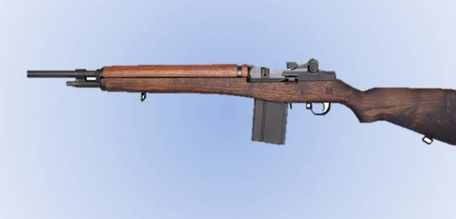 Rebel leader, 2 sons surrender