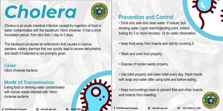 No cause for alarm on cholera outbreak declaration – PHO