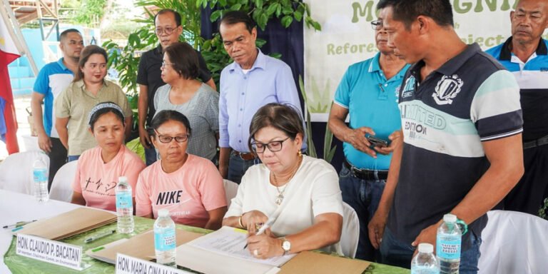Reforestation programs up in Sipalay City
