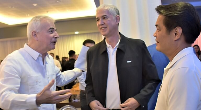 Ayala Group eyes 100-MW solar farm in Negros