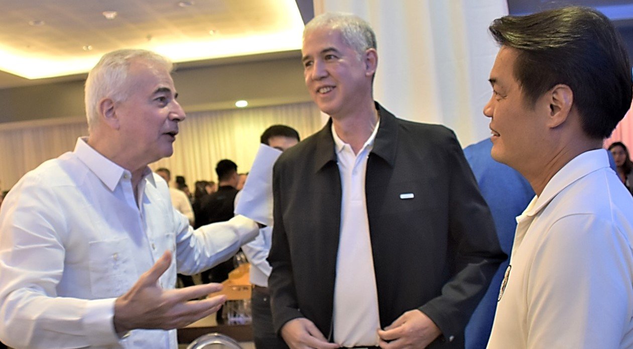 Ayala Group eyes 100-MW solar farm in Negros