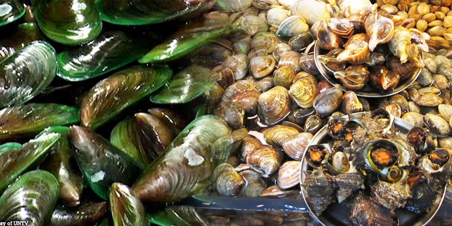 Shellfish ban still up in Bais Bay