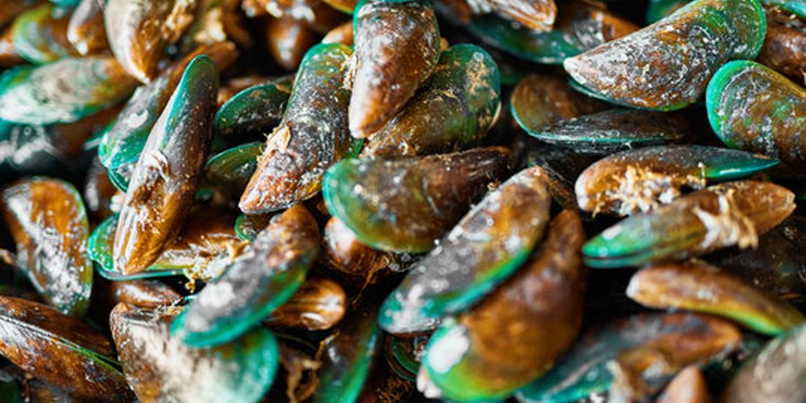 Red tide warning up in Bais Bay in NegOr