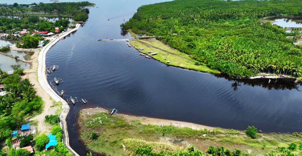 DENR issues cease, desist order vs. BISCOM over molasses spill