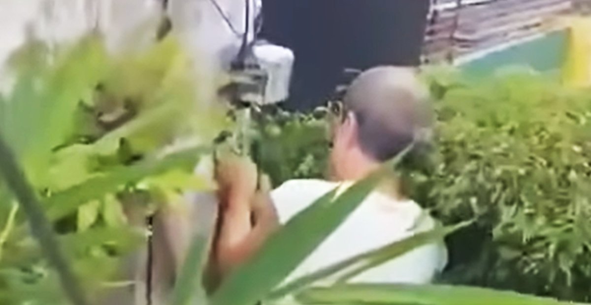Senior citizen arrested for power pilferage