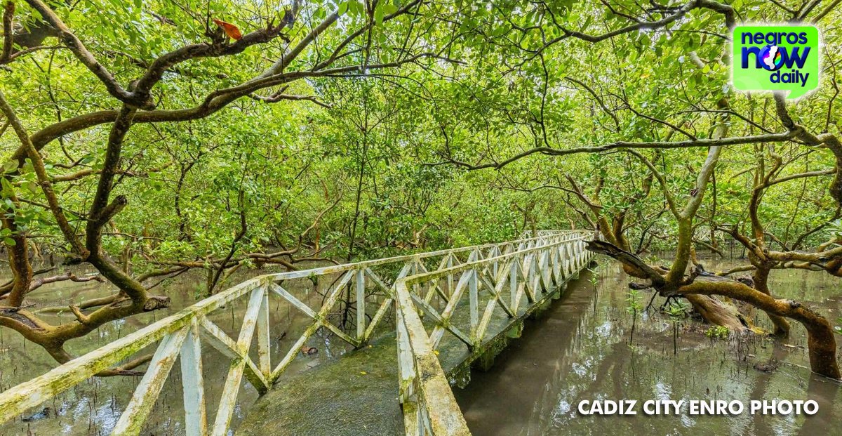 Cadiz’s mangrove reserve receives nat’l recognition
