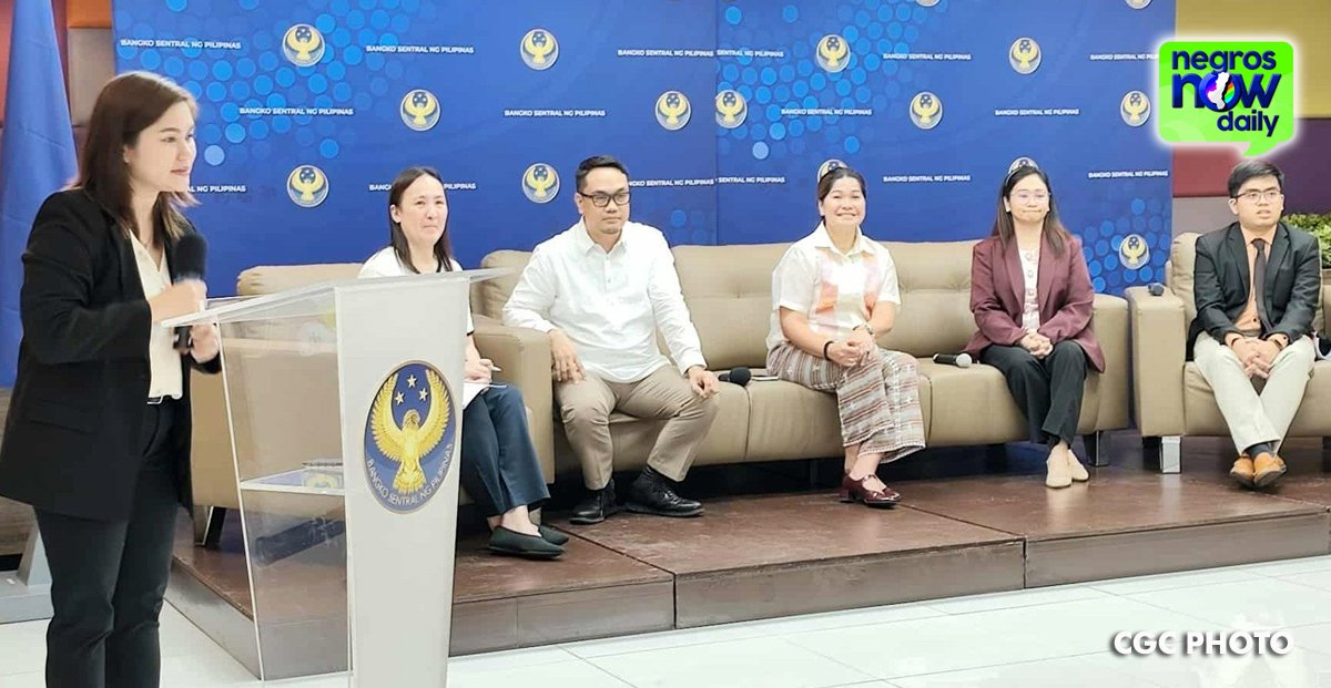 NIR financial resources solid, says BSP official