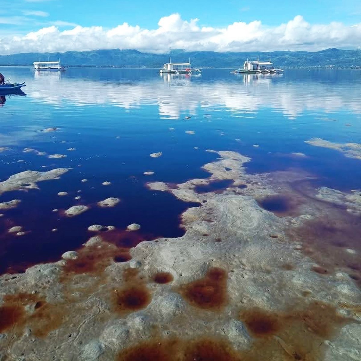 Assess extent of ethanol spill in Bais Bay: governor