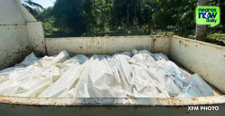 Rebel leader among 19 killed in clash between Army, NPA