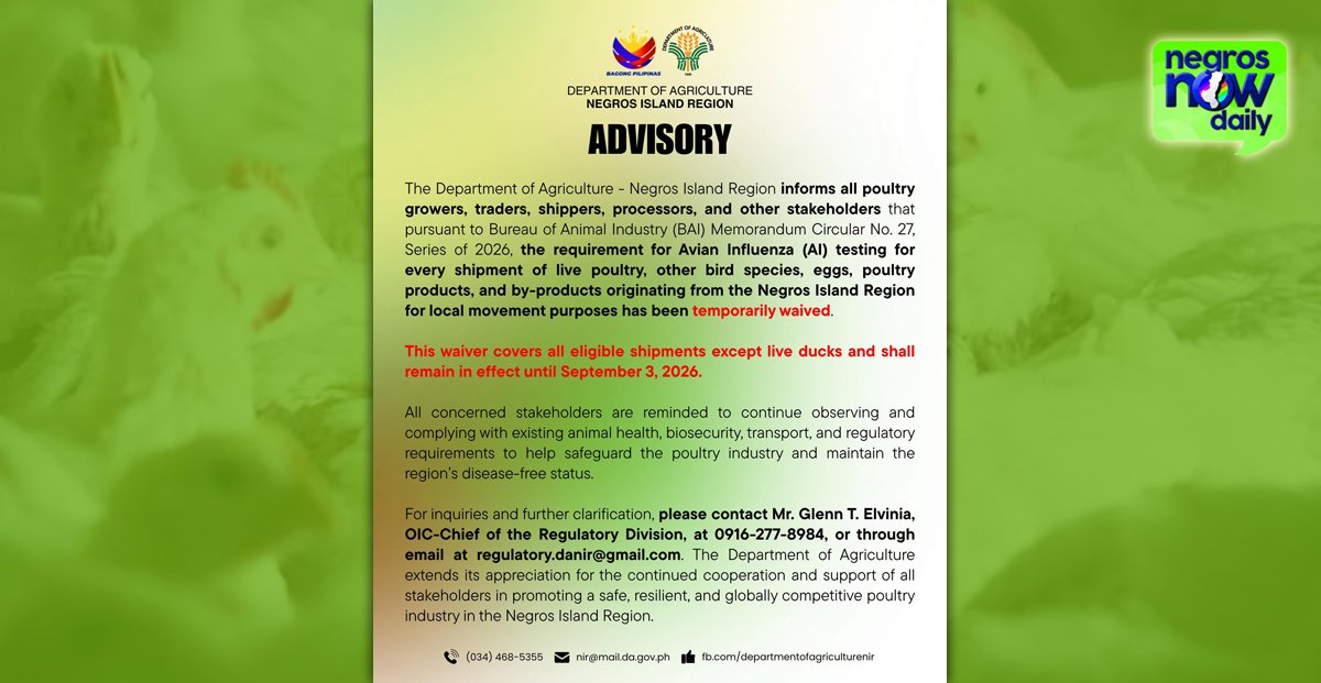 Avian flu testing waived for NIR poultry shipment